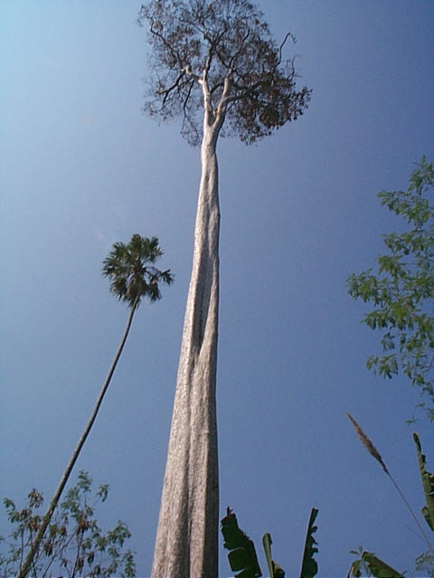 Photos of Ajahn Punnadhammo's trip to Thailand